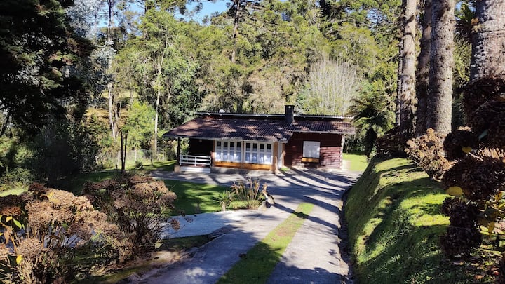 Casa Da Araucária: A Joia Do Alto Da Serra. - Campos do Jordão