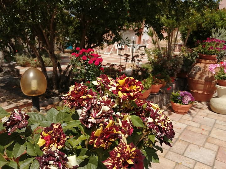 Il Melograno - Alghero