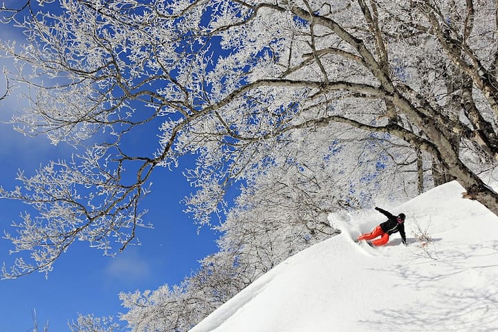 Kaiya Nozawa Lodge -Bunk Room & Futons - 이이야마시