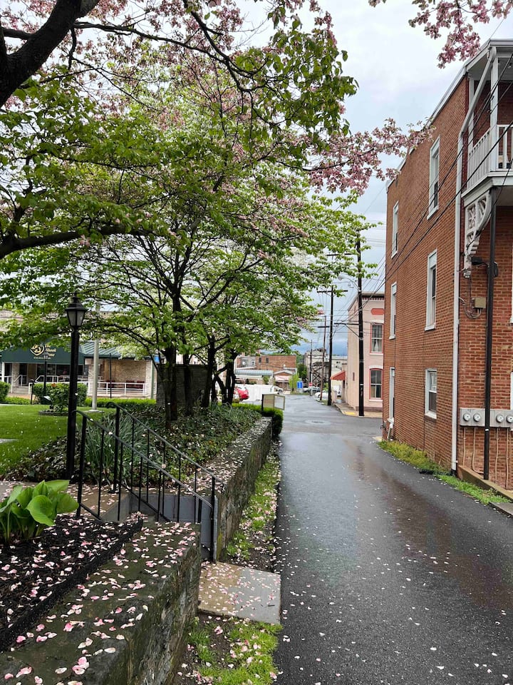 Cozy Condo In Chambersburg - Chambersburg, PA