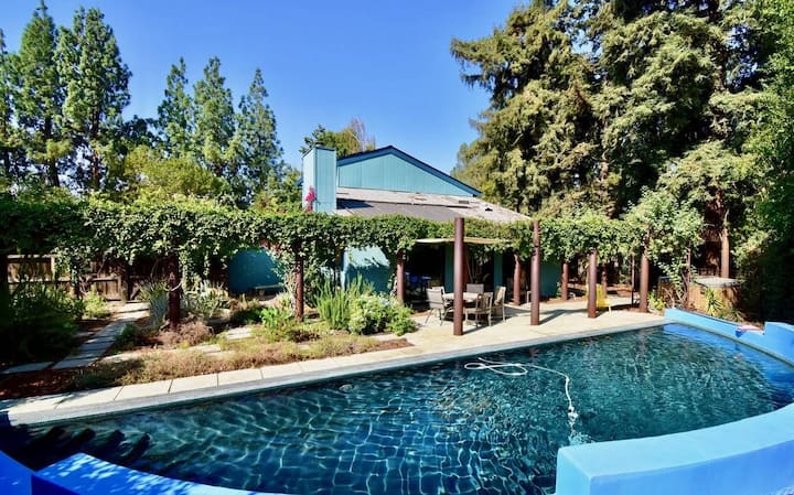 Spacious Designer House With A Garden Yard - Davis, CA