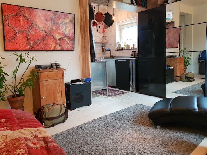 Rural & Industrial Apartment In The Heart Of Malmö - Malmö