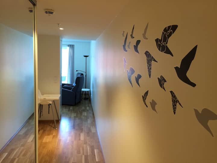 Ringve Park - Whole Apartment - Trondheim