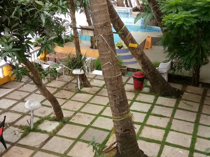 Executive Deluxe - ゴア