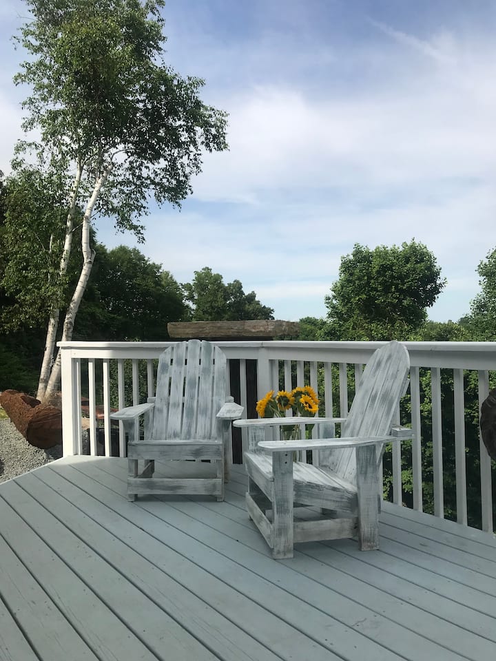 Beautiful Home Gorgeous Views, Private, Remodel 24 - Brignole Vineyards, East Granby