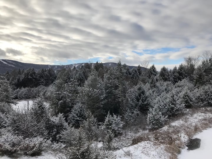 Fully Updated And Centrally Located - Windham, NY