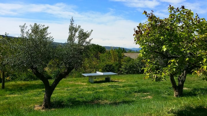 Gîte De Charme, Hesperie, Avec Piscine De 40m - Lagrasse
