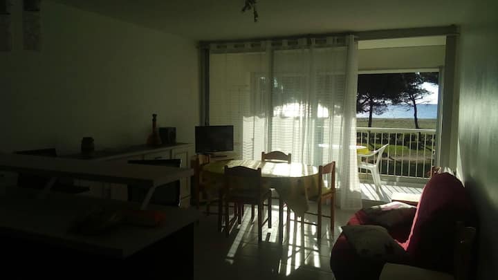 Grand Appartement En Front De Mer - Argelès-sur-Mer