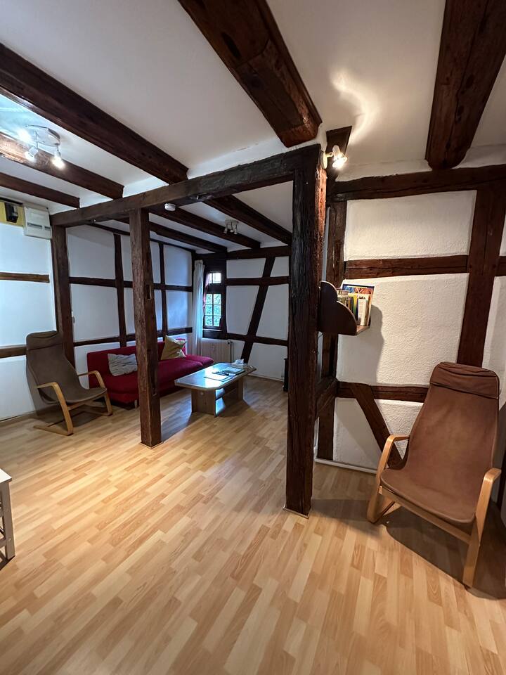 Appartement Au Cœur Du Vignoble Alsacien - Turckheim