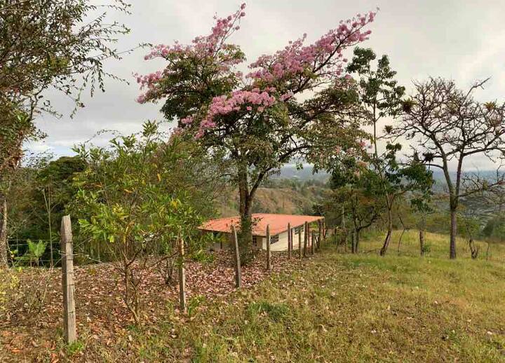 Casa De Campo La Primavera, Tranquila Agradable. - Guateque