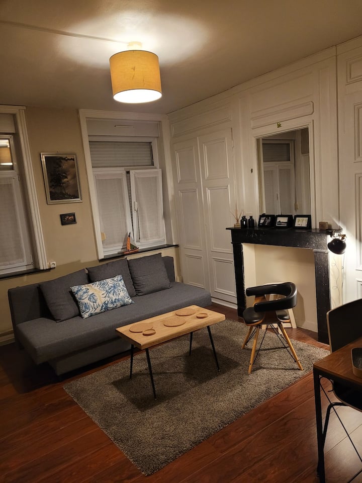 Lille: Appartement Cozy Proche Des Gares - Gare de Lille Europe - Euralille