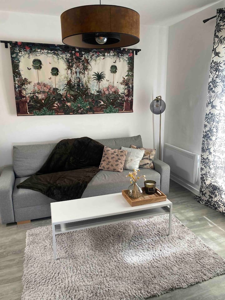 Appt Cosy 1 Ch., Parking Privé, Wifi, 600m Plage - Royan