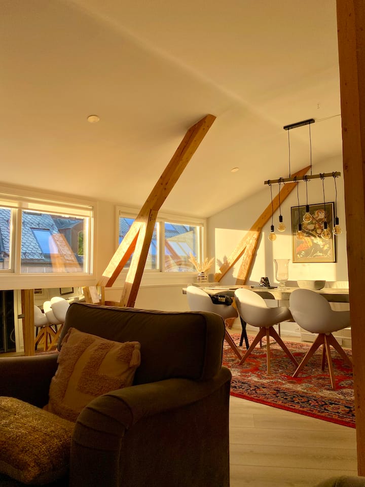 Big Appartment In Sentrum ÅLesund - Ålesund