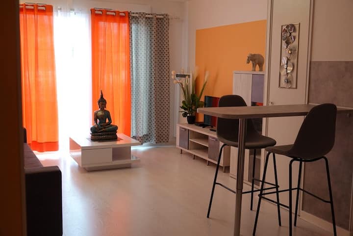 Nouveau Studio Voyageur Porte Genève-annemasse - Gaillard