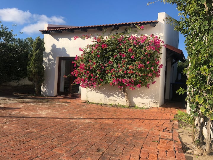 'Sunbird' Flatlet Overlooking Nature Reserve - Saint Francis Bay