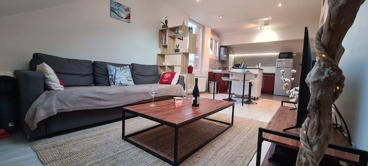 Joli T2 Cosy, Centre Aix-les-bains - Aix-les-Bains