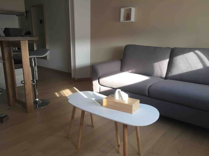 Confortable T2 Idéalement Situé Avec Parking - Castanet-Tolosan