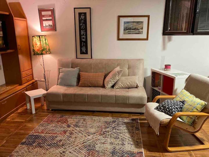 Private Cozy Studio - Serbia