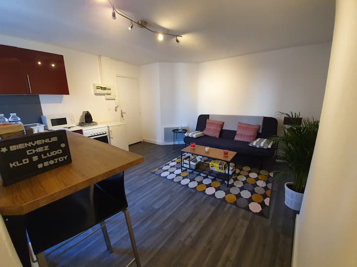 Appartement Cosy Au ❤ L'hyper Centre Historique - Parc Floral de la Source