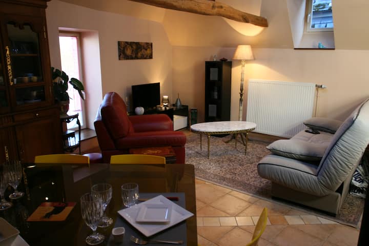 Appartement Meublé 52m2 Au Calme Centre Historique - Laon