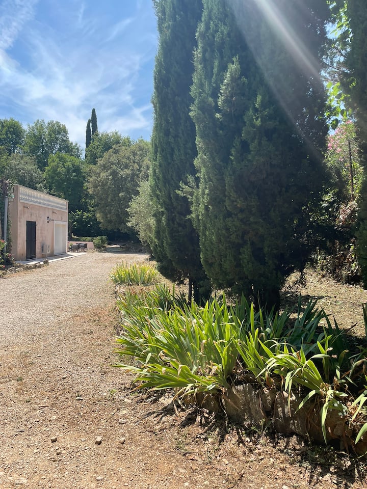 Pleasant, Contemporary Villa, Sunny, Quiet In A Green Setting - Antibes