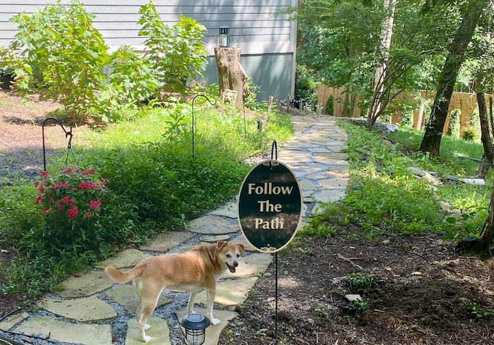 Modern And Cozy Mountain 
Getaway - Asheville, NC
