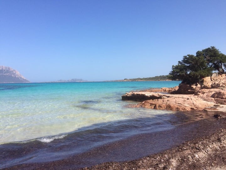 Olbia Murta Maria Porto Istana Villetta A Schiera - Olbia