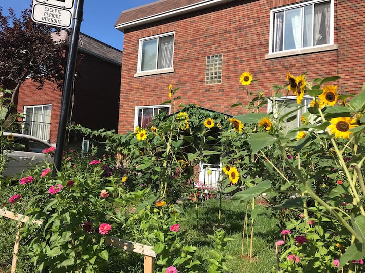 Spacious Basement Apartment In Ndg W/full Kitchen - Lasalle