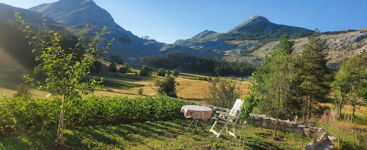 Odmor U Planinu - Monténégro