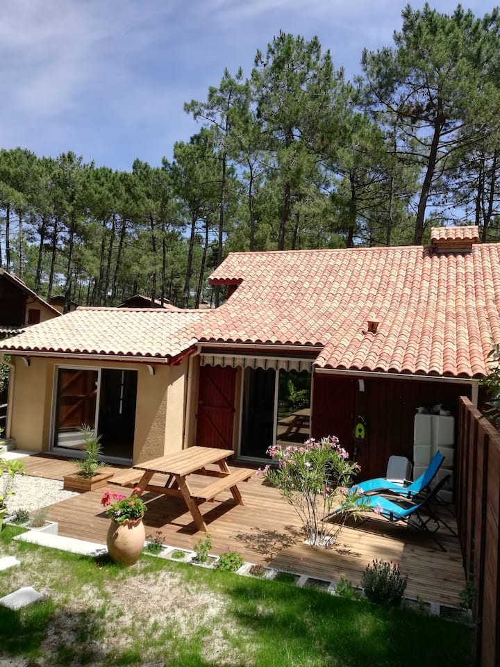 Pavillon Sous Les Pins - Lacanau Océan