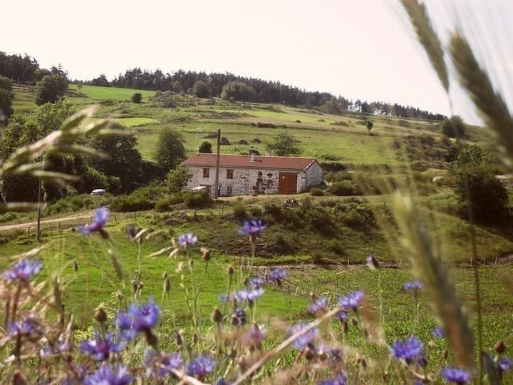 La Bergerie De Pouzas - Haute-Loire