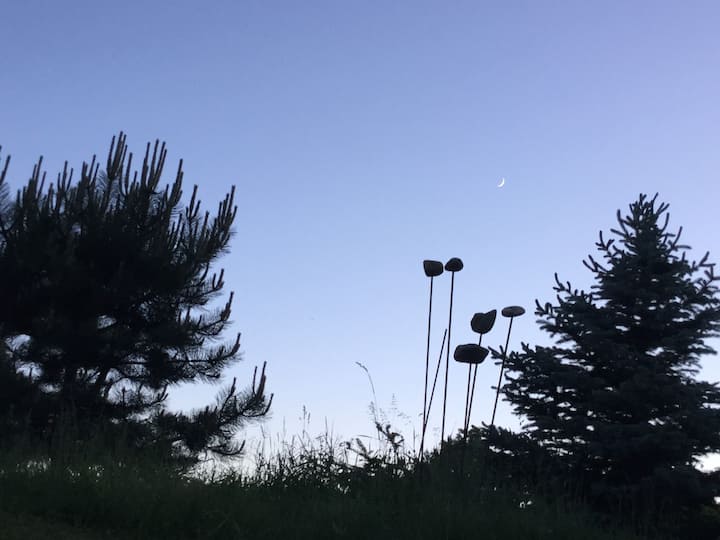 Camp In My Beautiful Garden - Österreich