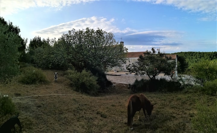 Bas De Villa Dans Un éCrin De Verdure - Port-de-Bouc