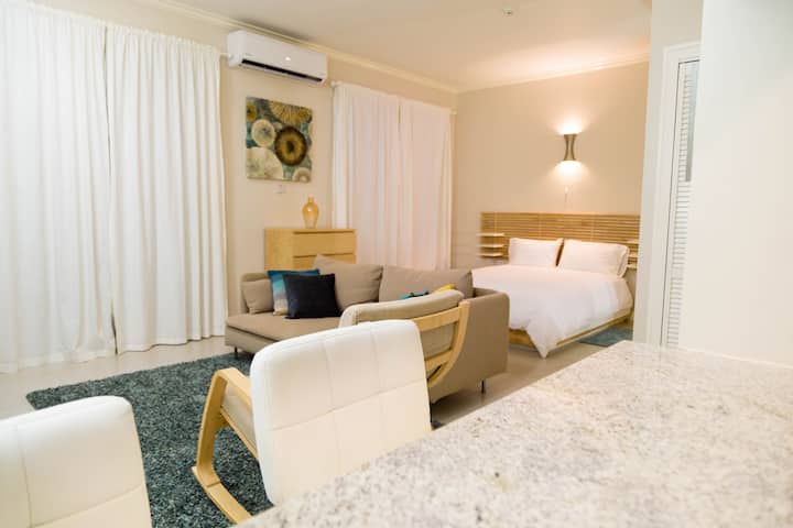 Calm Studio Near Devon House W/ Parking - Kingston