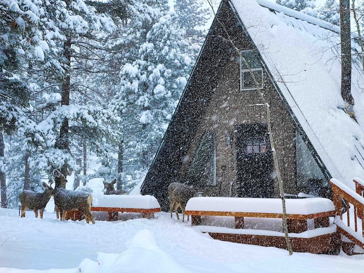 A-frame, Tiny Home, Hot Tub, Sleeps 4! - Colorado