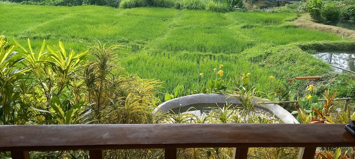 Camiguin Bali - Camiguin