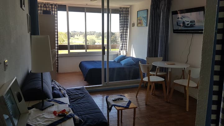 Studio 25 M2 Dans Résidence Sécurisée Avec Piscine - Agde