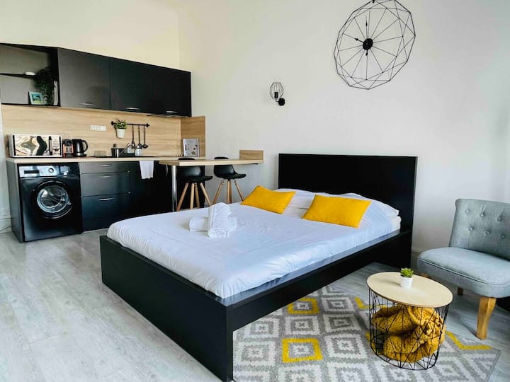 Vue Unique Sur Le Parc Et Son Dôme Des Cures - Vichy