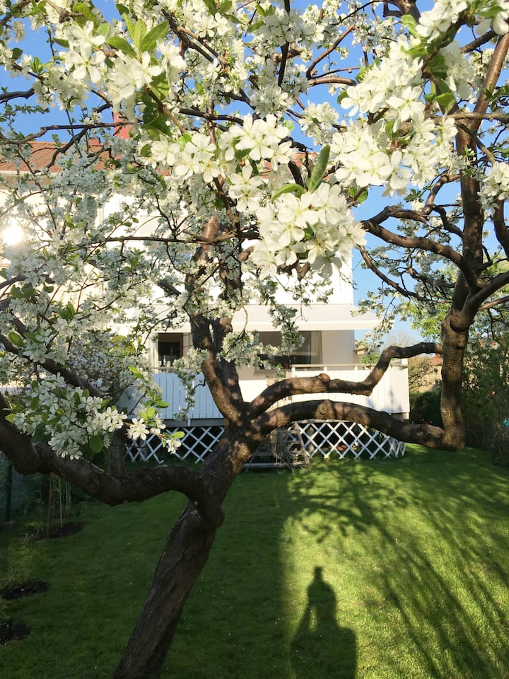 Central House With Garden Close To Nature And City - Gothenburg