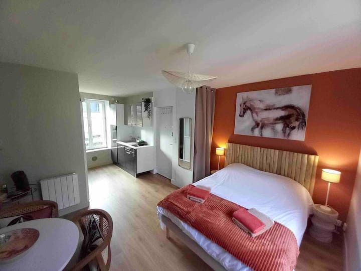 Studio In The Heart Of The Port Of La Houle In Cancale - Cancale