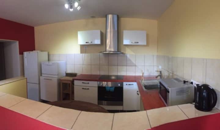 Appartement En Bord De Loire - Roanne