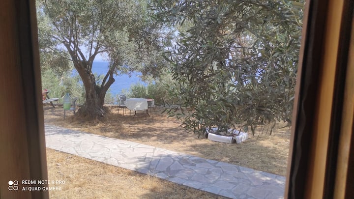 Assos Bungalow - Behram