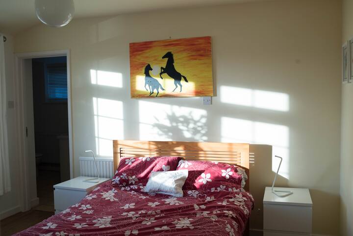 Sunny En Suite Double Room - Bristol