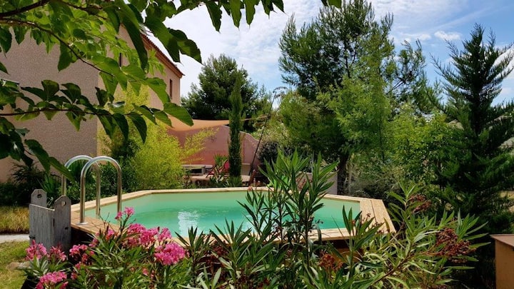 Les Oliviers - Languedoc-Roussillon