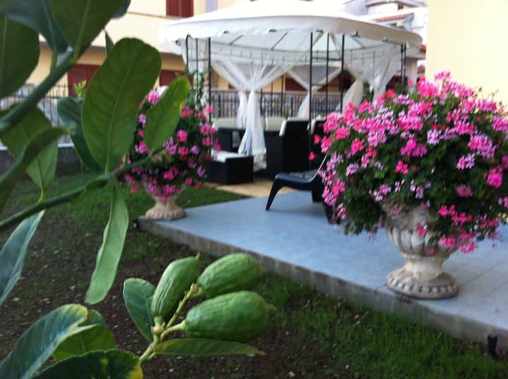 B & B Villa Dei Cedri Scalea Camere Per 4 Adulti - Diamante