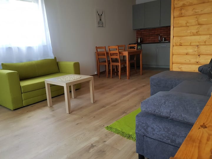 2-3 Os Studio Nad Soliną W Bieszczadach - Solina