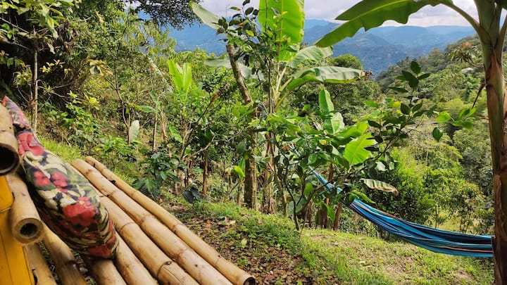 Descansa Y Conéctate Con La Naturaleza - La Vega