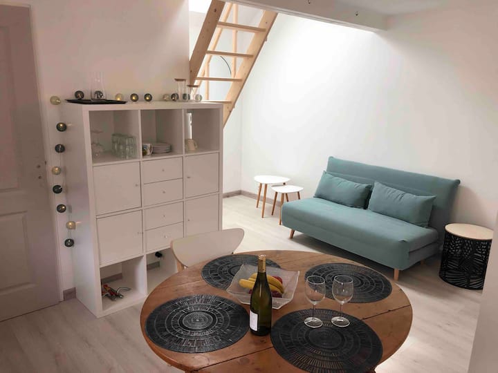 Duplex Cosy Très Calme Avec Garage Le Mans Centre - Le Mans