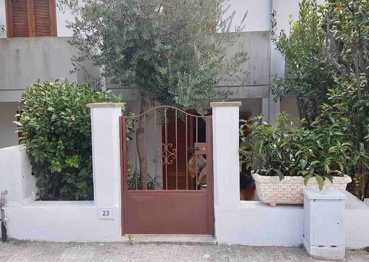 Casa Marlon 250 M Dal Mare Licenza Slle000090-0044 - Santa Cesarea Terme