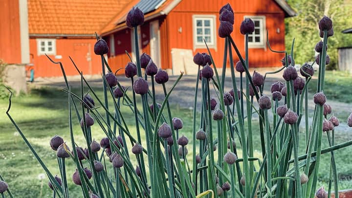 Granetorp - Markaryd